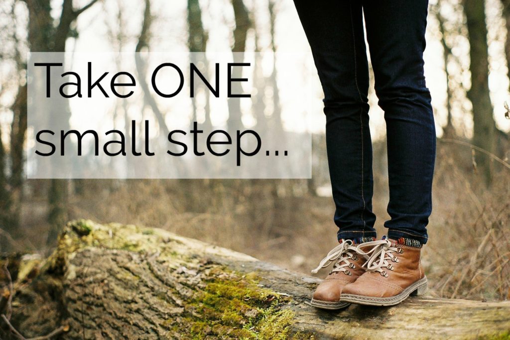Take One Small Step - Lisa E Betz