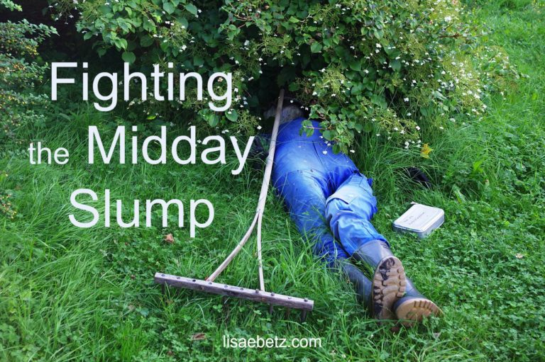Fighting the Midday Slump - Lisa E Betz