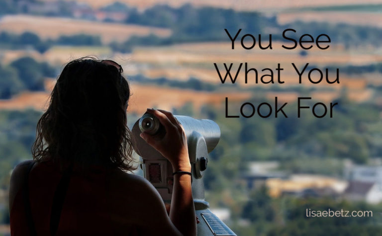 You See What You Look For - Lisa E Betz